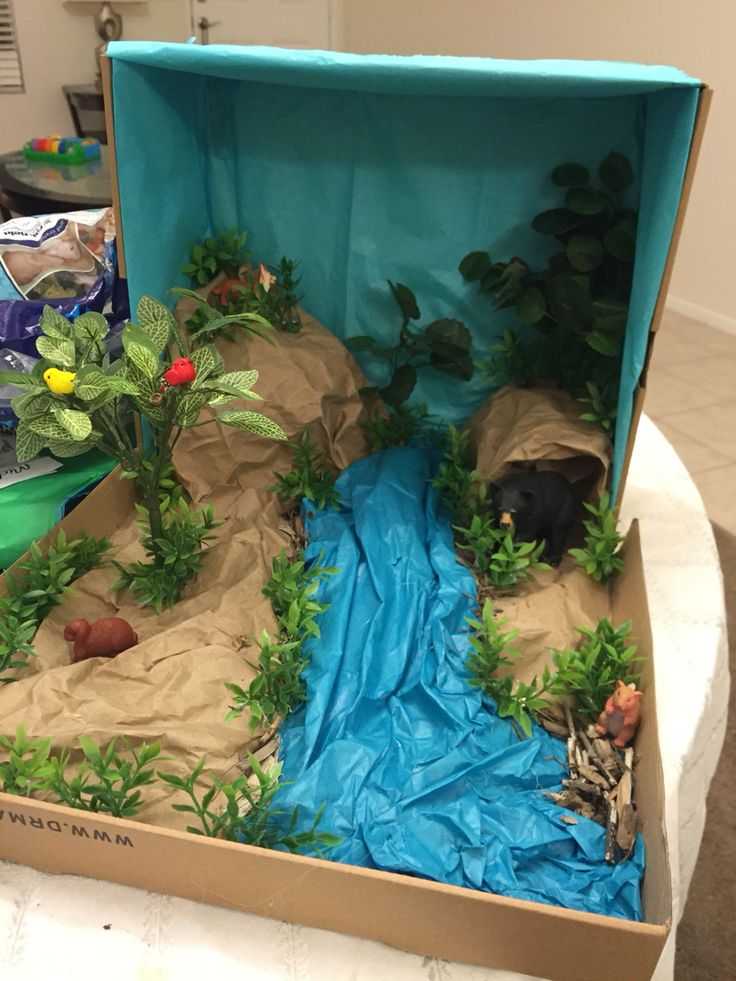 Biome shoebox project